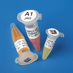 Laboratory Identification